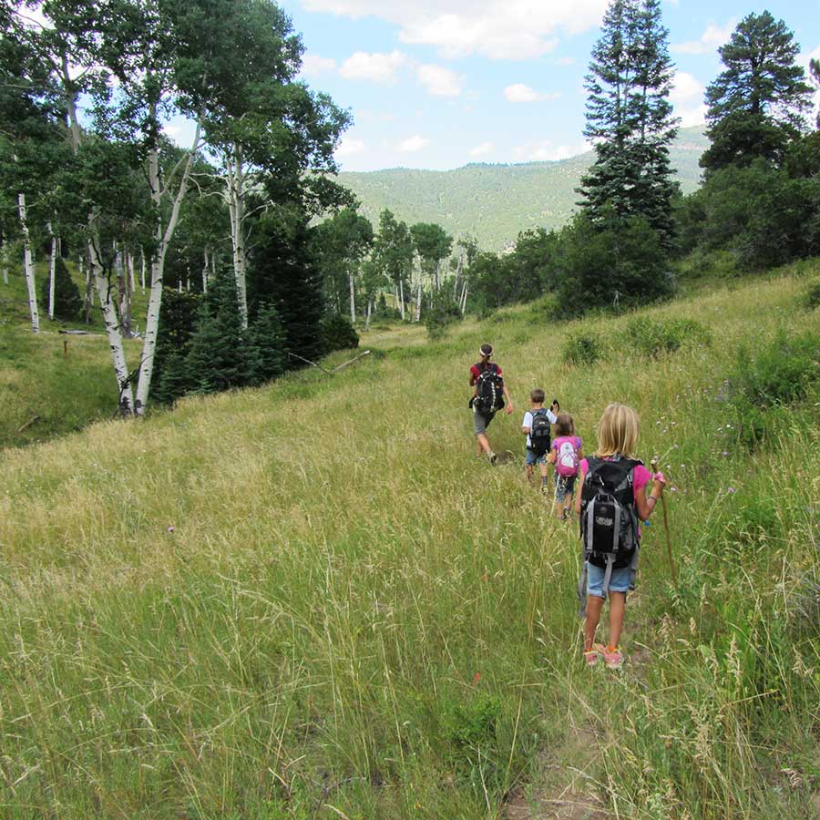 12 Tips for Hiking with Kids - Live Like You Are Rich