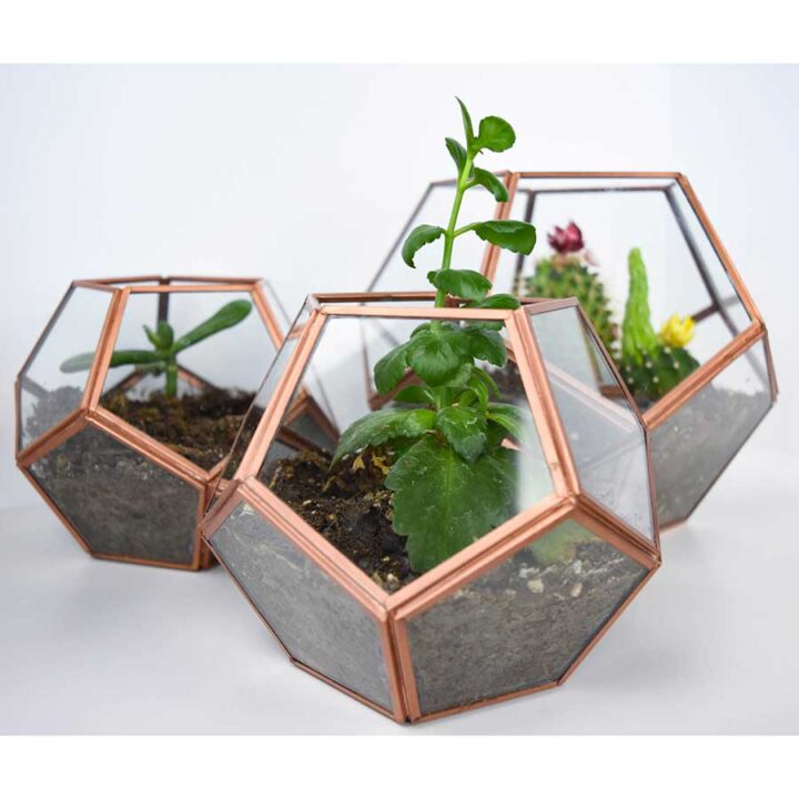 DIY Copper Geo Terrariums - Live Like You Are Rich