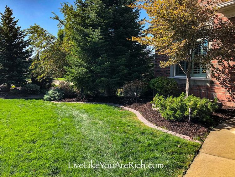 Maintenance-Free Weedless Flower Beds in 10 Steps - Live Like You Are Rich