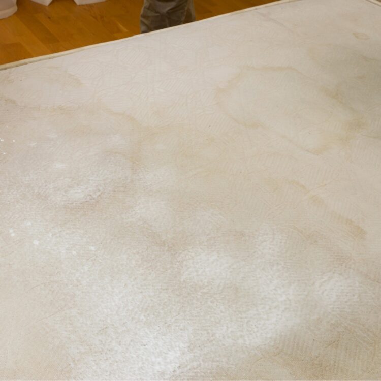 How to Clean a Mattress - Live Like You Are Rich