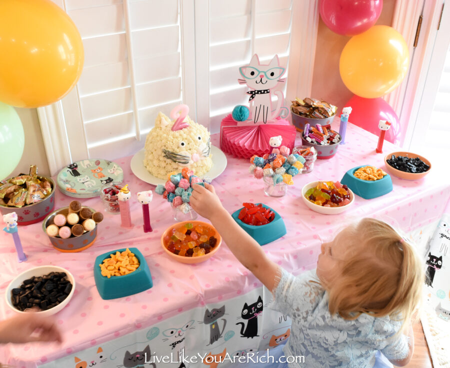 Kitty Cat Party - Live Like You Are Rich