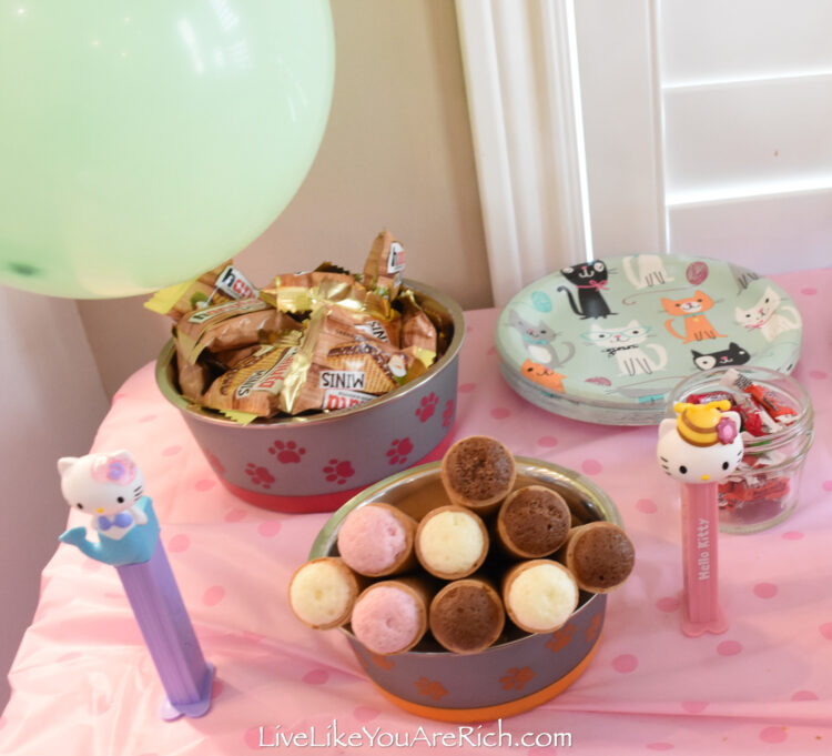 Kitty Cat Party - Live Like You Are Rich