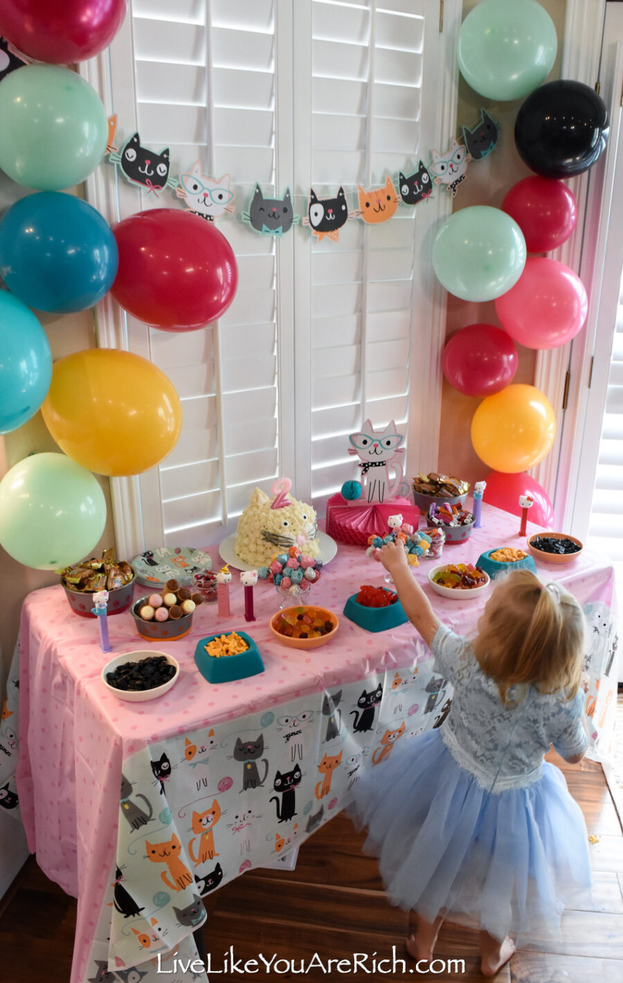 Kitty Cat Party - Live Like You Are Rich