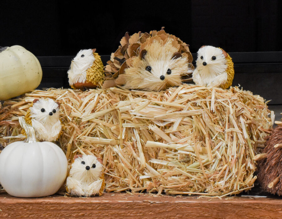 Thanksgiving Sisal Animal Mantel - Live Like You Are Rich