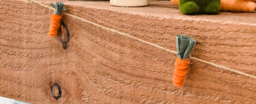 Pipe Cleaner Carrot Bunting - Live Like You Are Rich