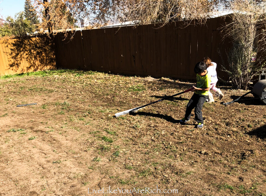Backyard Renovation on a Budget - Live Like You Are Rich