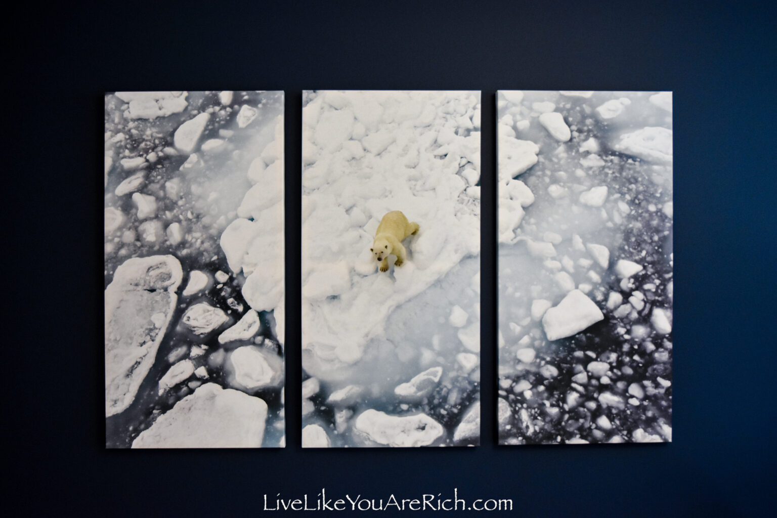 Kids Arctic Polar Bear-Themed Room - Live Like You Are Rich