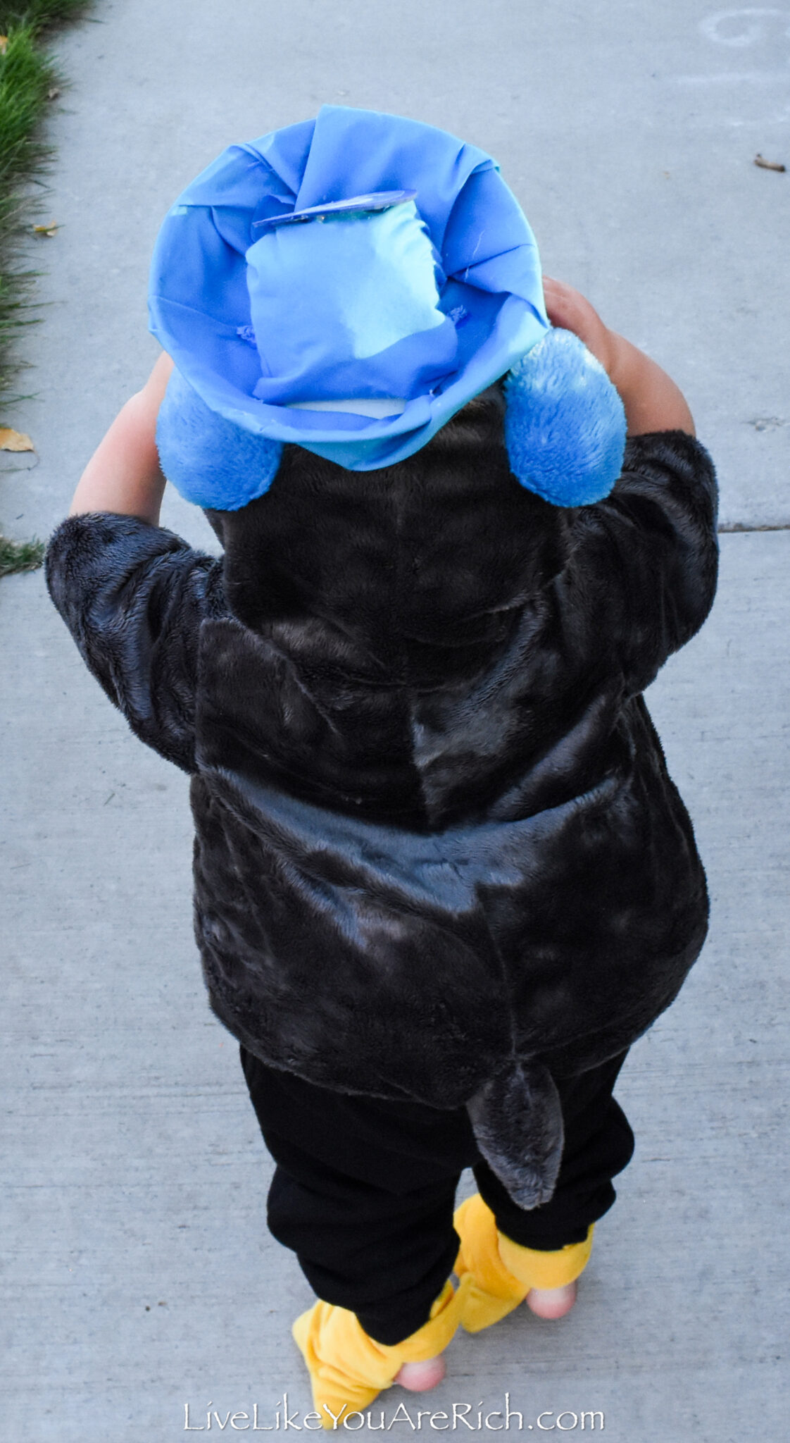 Peso from Octonauts Costume—DIY Hat and Collar - Live Like You Are Rich