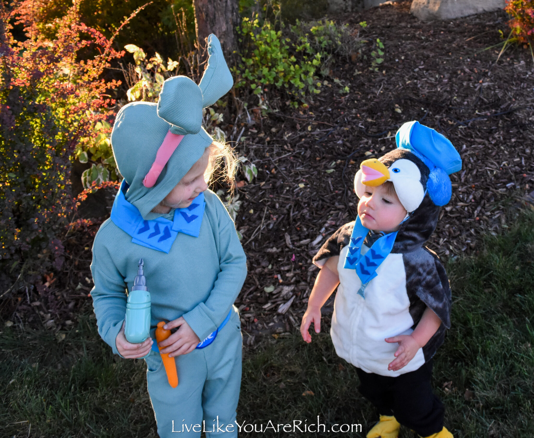 Easy No Sew Tweak From Octonauts Costume - Live Like You Are Rich