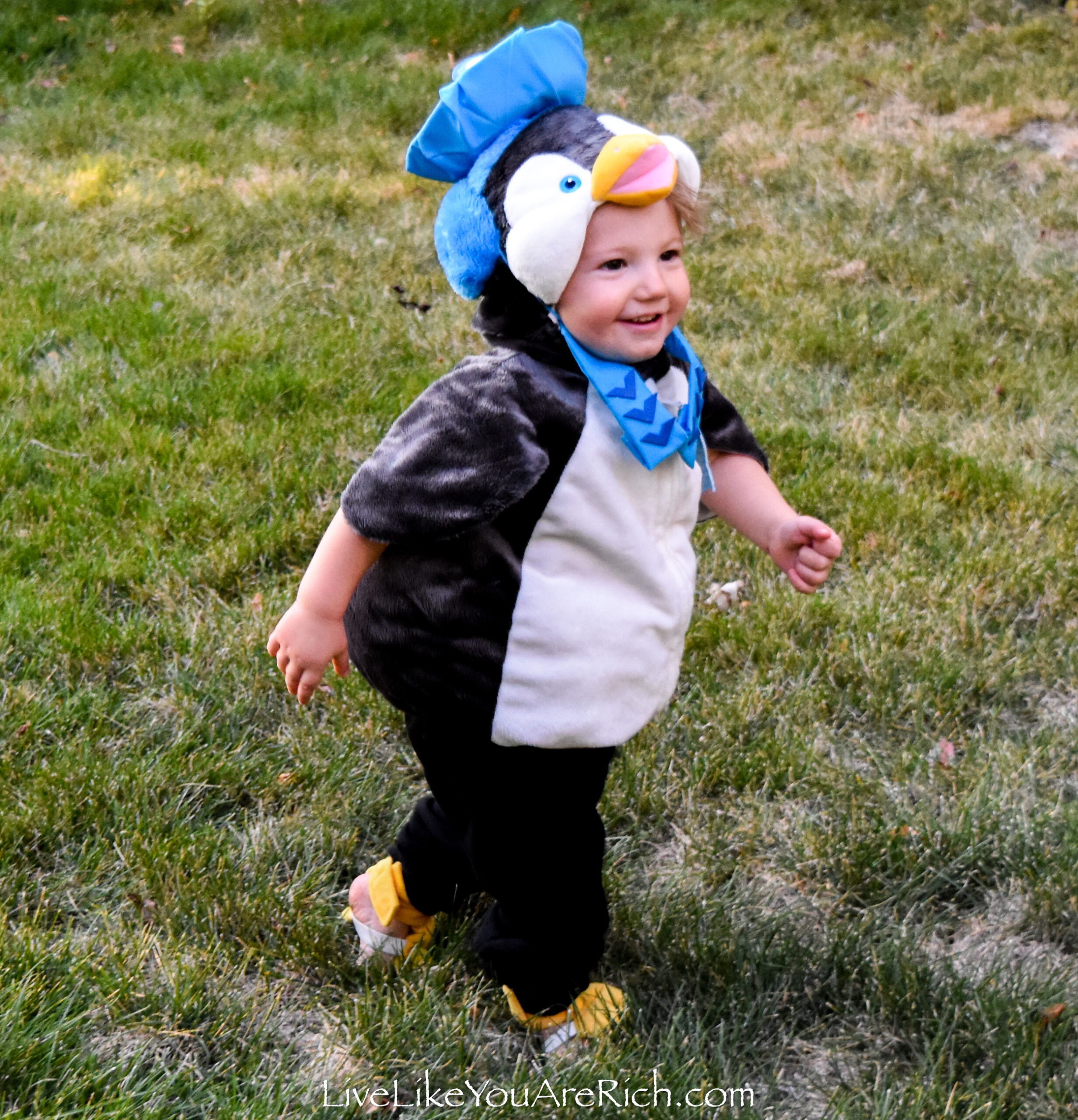 Octonauts Costume Tweak-18 - Live Like You Are Rich