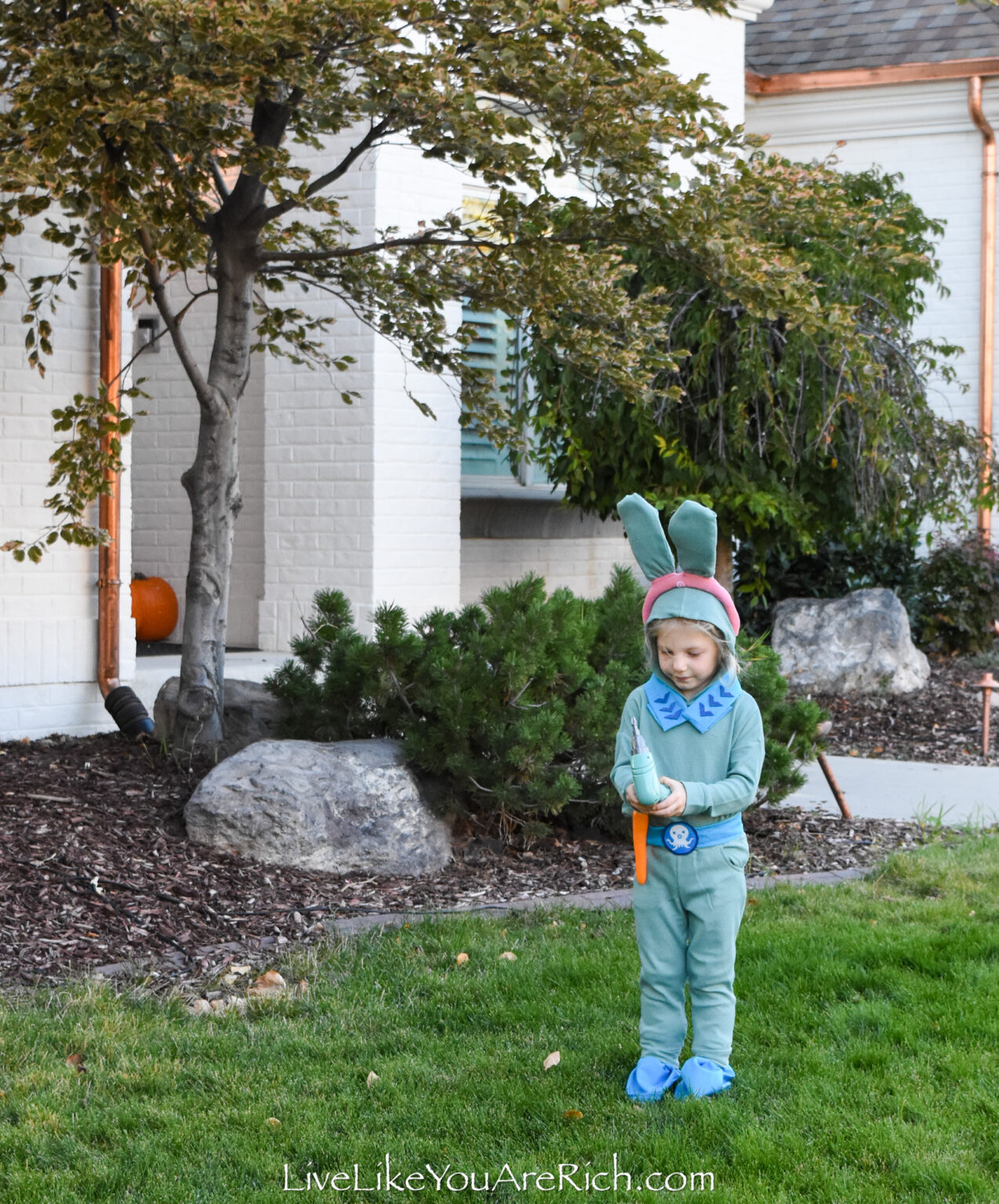 Octonauts Costume Tweak-4 - Live Like You Are Rich