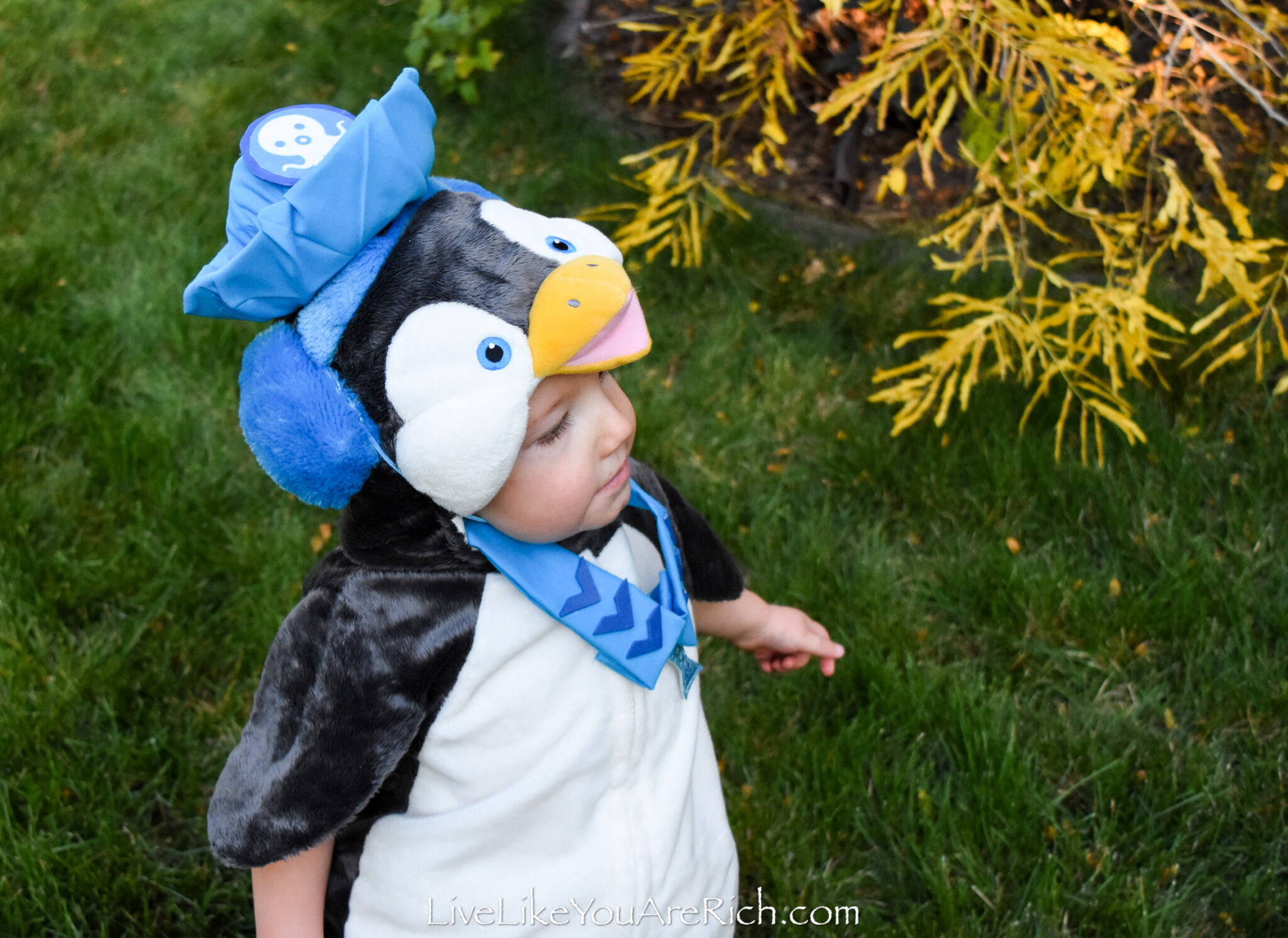 Peso from Octonauts Costume—DIY Hat and Collar - Live Like You Are Rich