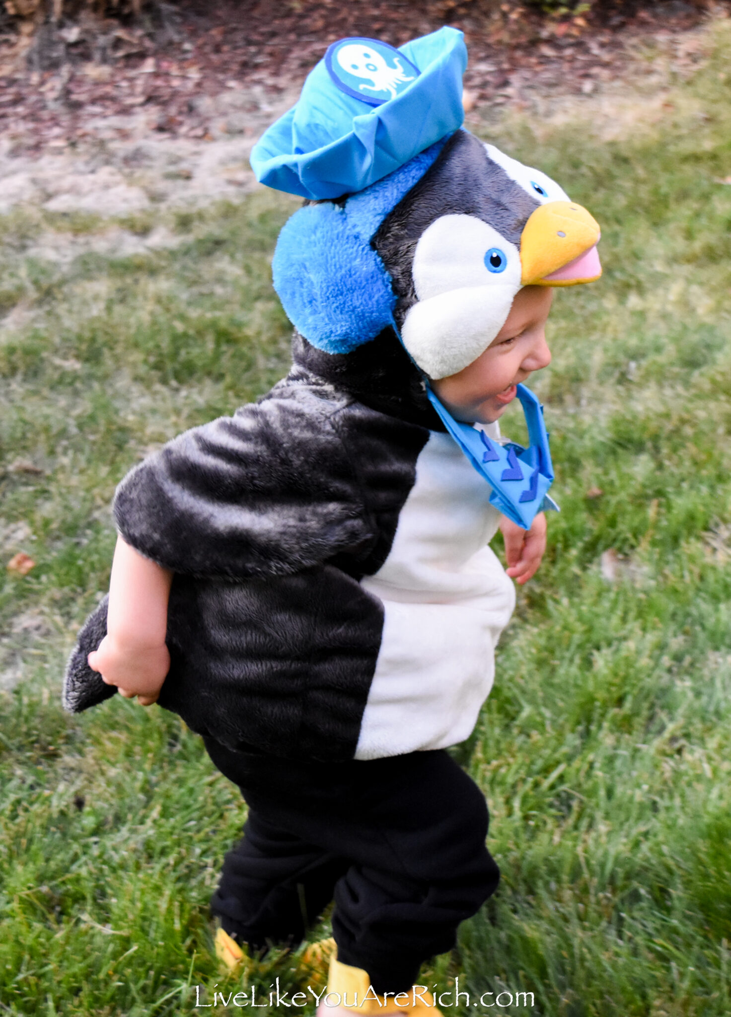 Peso from Octonauts Costume—DIY Hat and Collar - Live Like You Are Rich