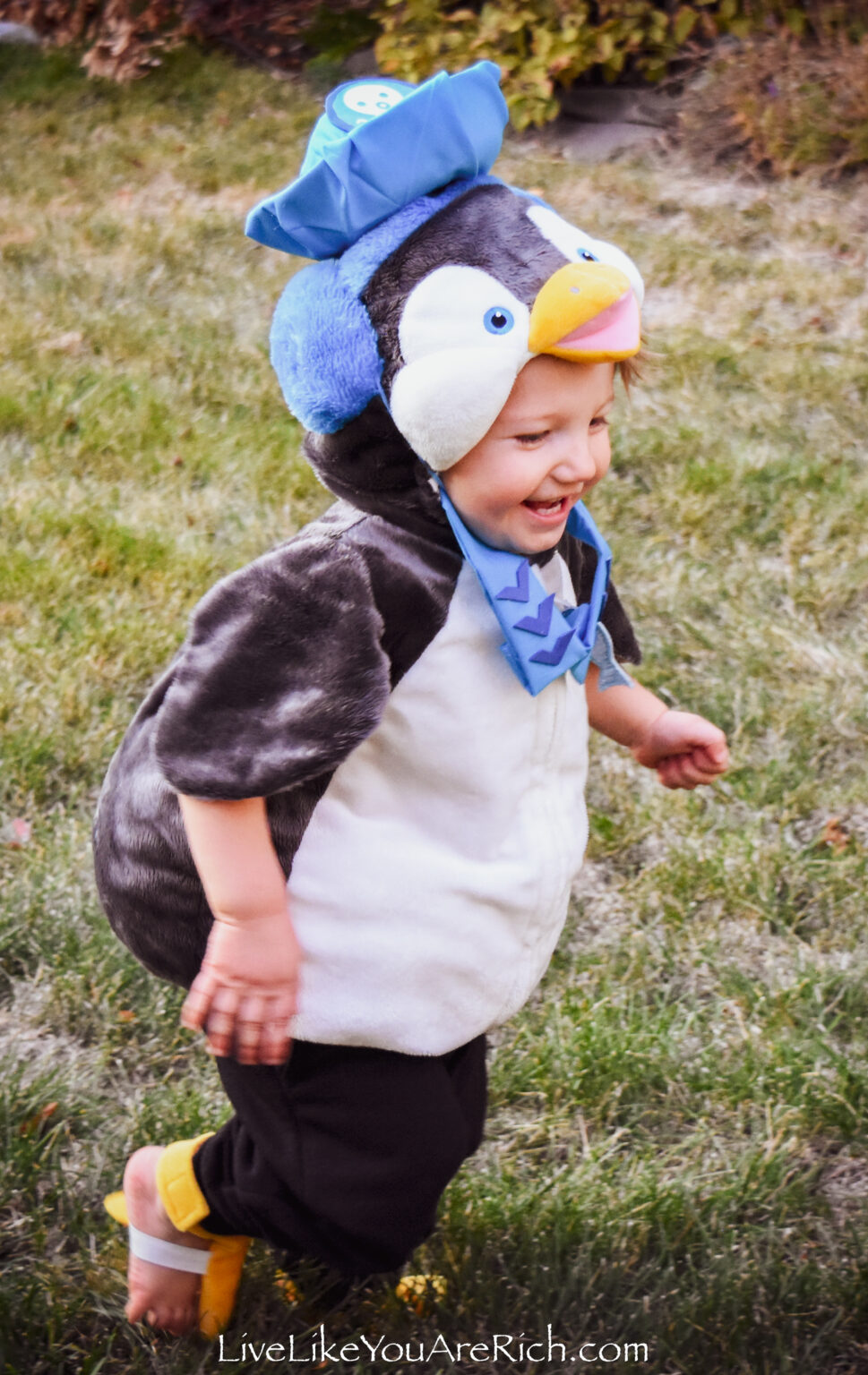 Peso from Octonauts Costume—DIY Hat and Collar - Live Like You Are Rich