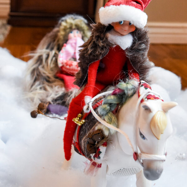 Elf on the Shelf: Sleigh Ride - Live Like You Are Rich