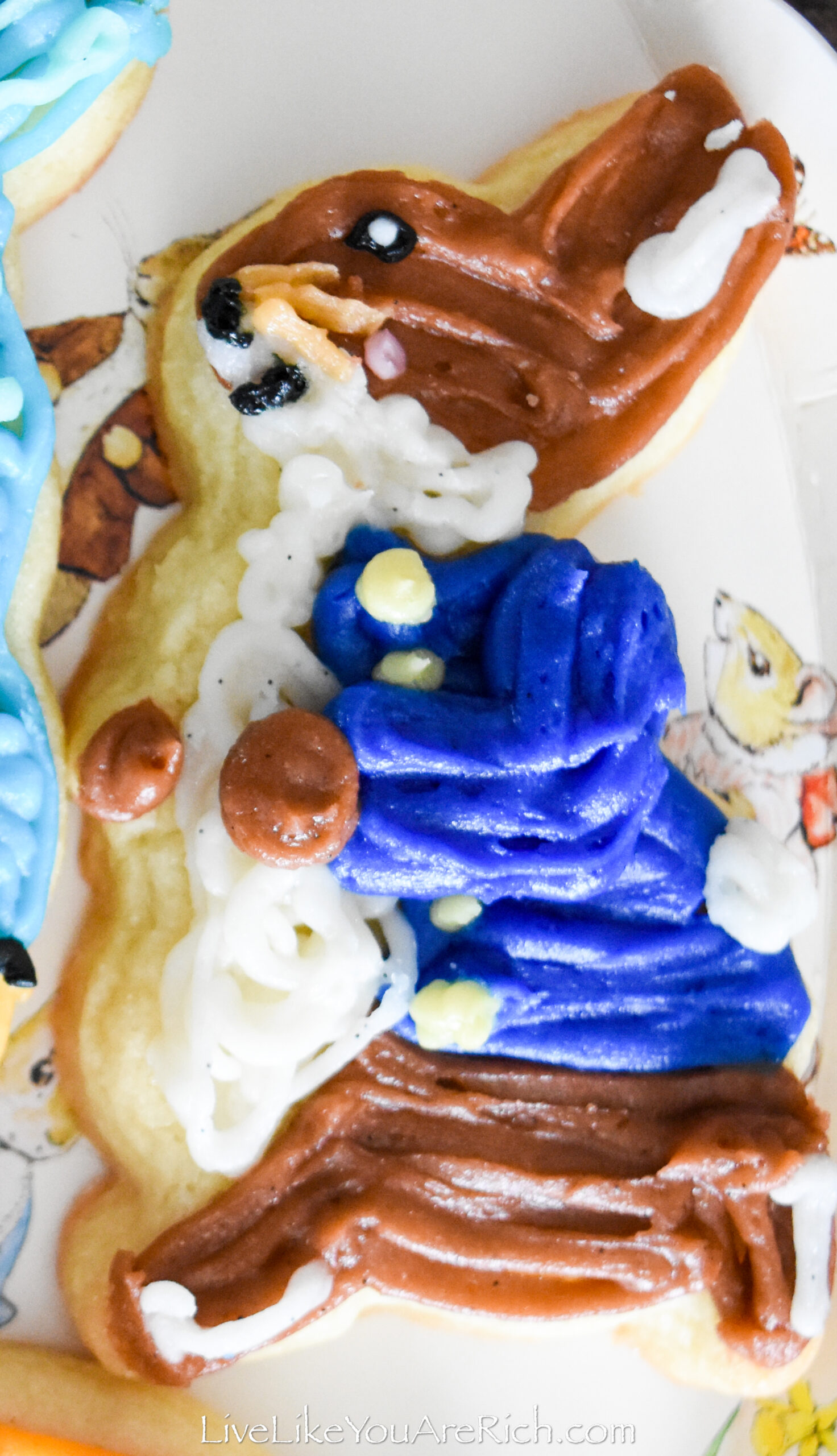 Peter Rabbit cookies-12 - Live Like You Are Rich