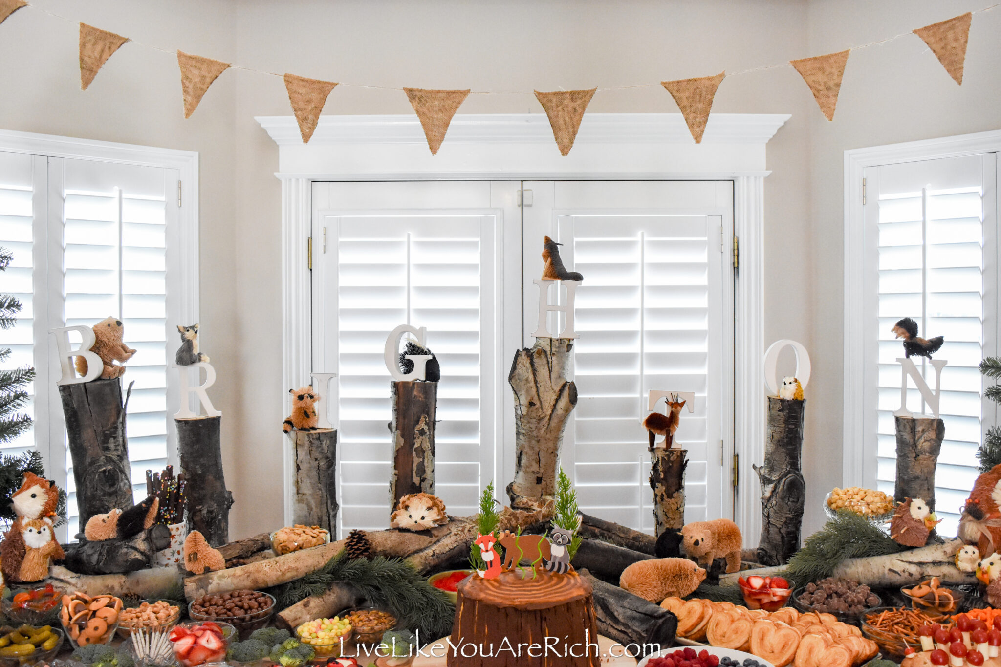 Woodland Party Decoration Ideas - Live Like You Are Rich
