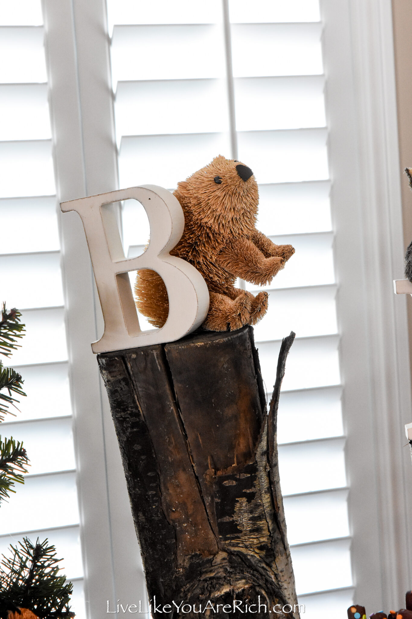 Woodland Party Decoration Ideas - Live Like You Are Rich