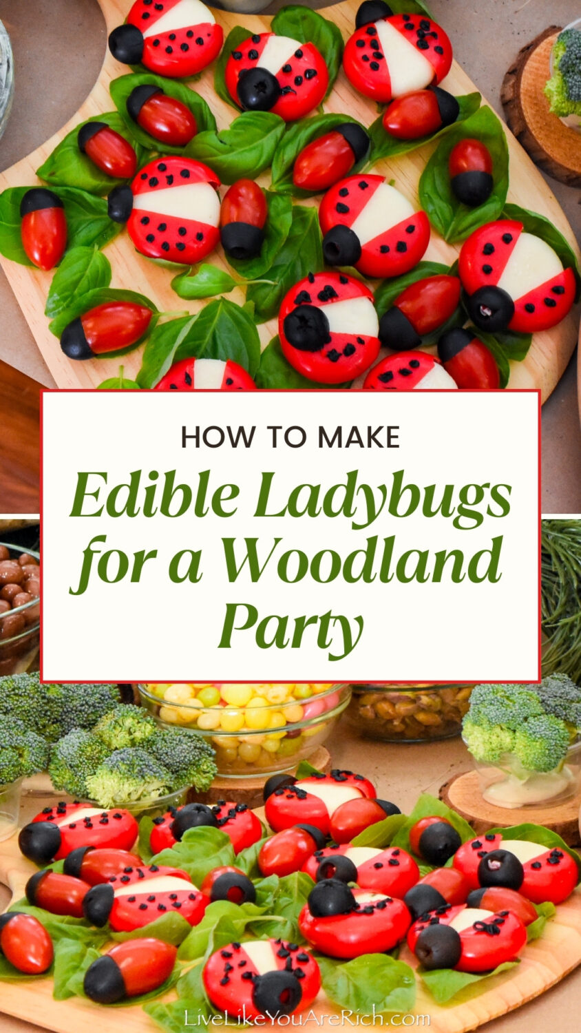 Edible Ladybugs for a Woodland Party - Live Like You Are Rich