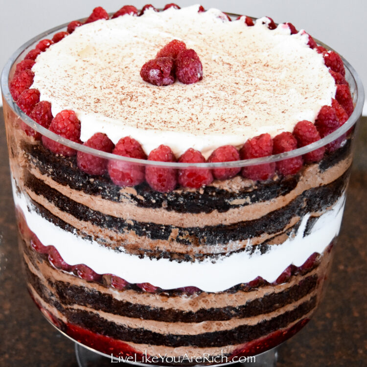 Chocolate Raspberry Cake Trifle - Live Like You Are Rich