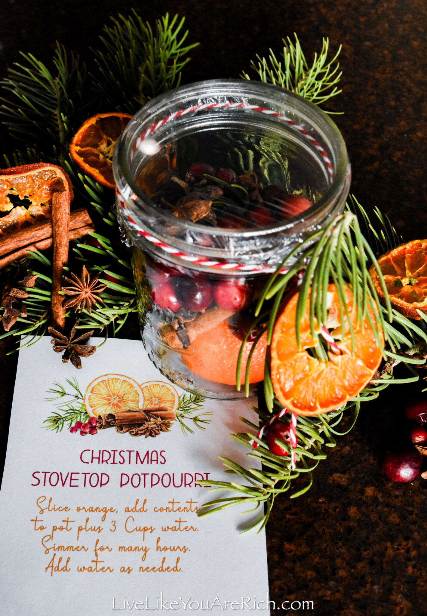 21 Christmas Potpourri Recipes - Make Your Home Smell Like the Holidays ...