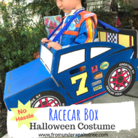 29 DIY Cardboard Box Halloween Costumes for Kids - Live Like You Are Rich
